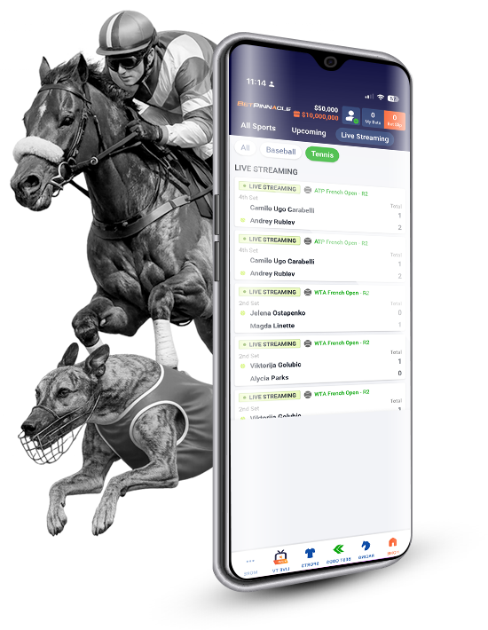 BetPinnacle