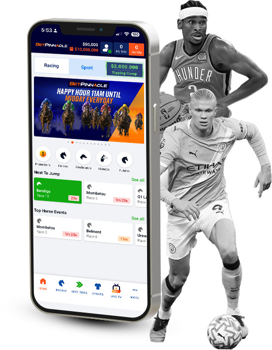 BetPinnacle